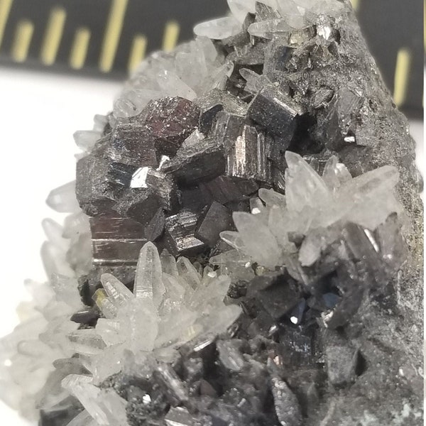 Montana Rock Mom - Etsy