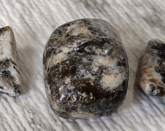 Petrified Bog Wood - Etsy