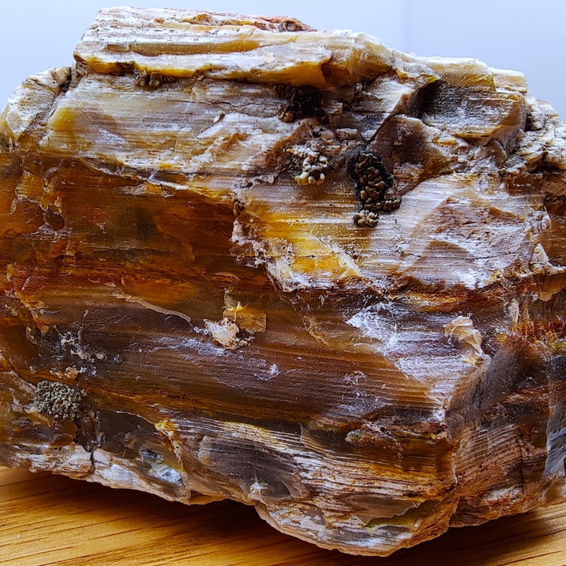 Montana Rock Mom - Etsy