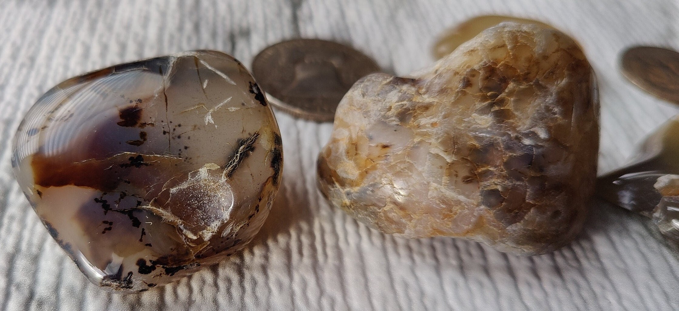 Montana Moss Agate Yellowstone River Moss Agate Montana Agate Yellowstone River Agate Yellowstone Rock River Rock Montana Rockhounding Etsy