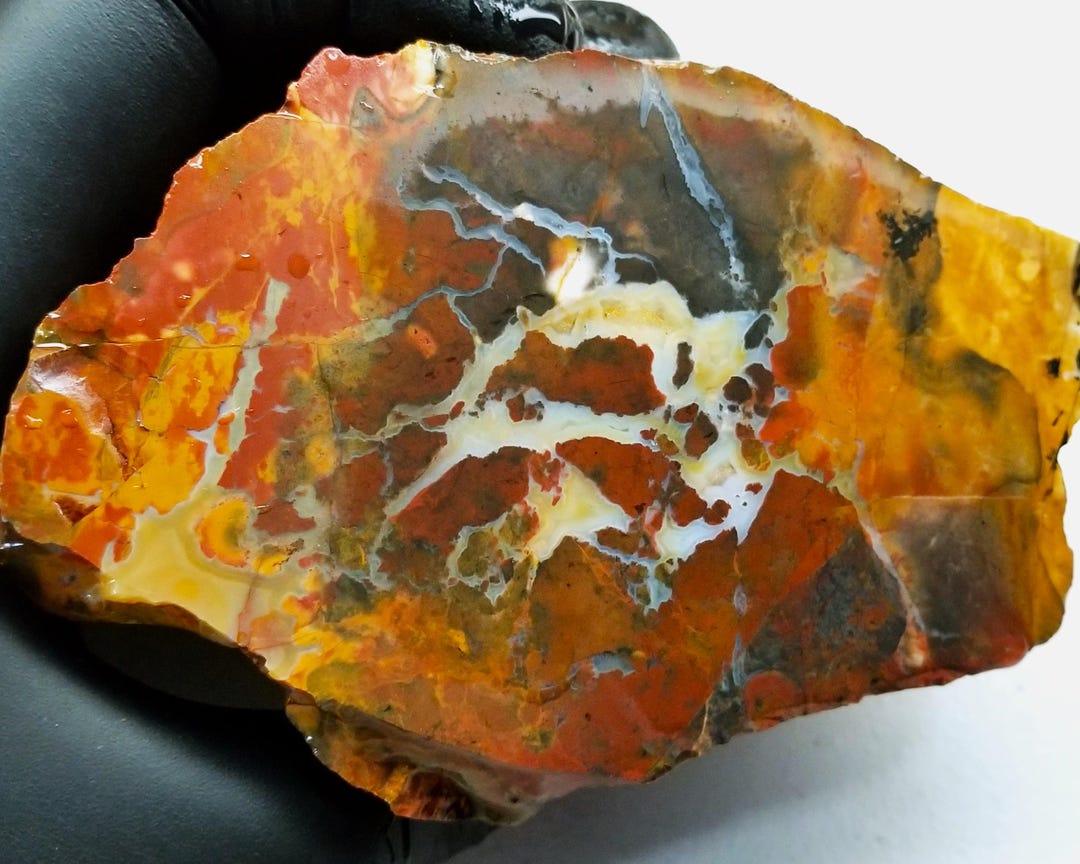 696, Unique Brecciated Jasper, Polished Jasper, Rare Agate Nodule, Cut ...