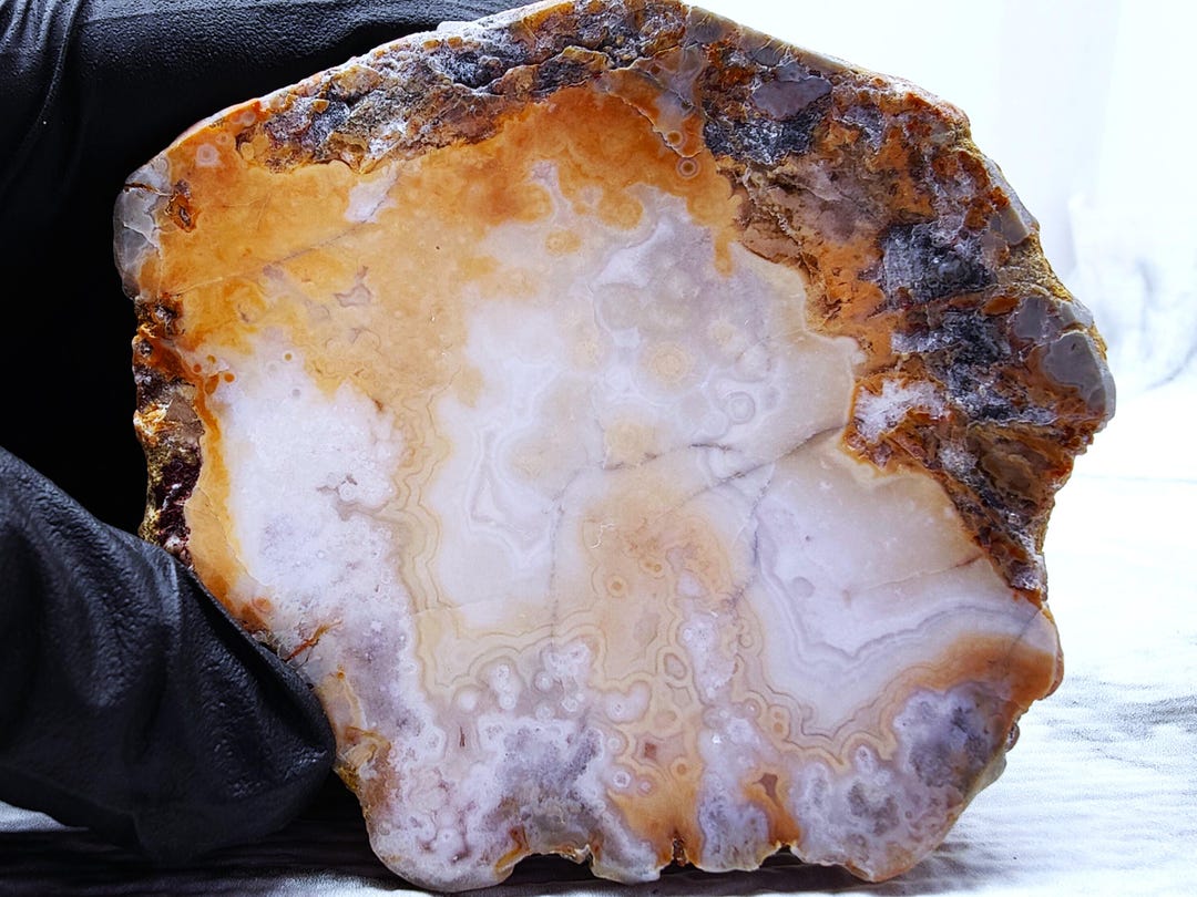 461, Rare Ocean Jasper From Montana, Montana Agate, Montana Jasper ...