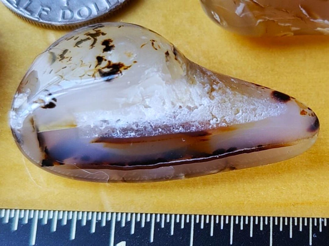 432, Polished Montana Moss Agates From Yellowstone River, Yellowstone ...