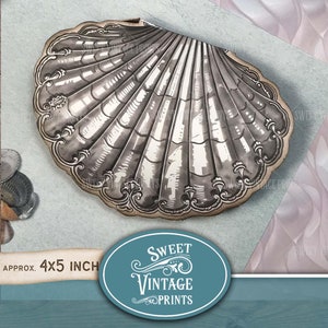 Printable Scallop Box | DIY Gift Box | Shell Ephemera Box | Printable ...