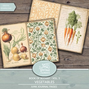 Vegetables Junk Journal Pages | Book of Botany Vol.3 Vegetable | Veggie ...