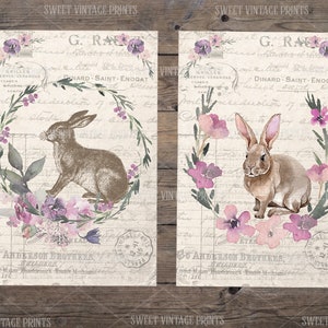 Rabbit, Postcards, Vintage, Junk Journal, Ephemera, Hare, Bunnies ...