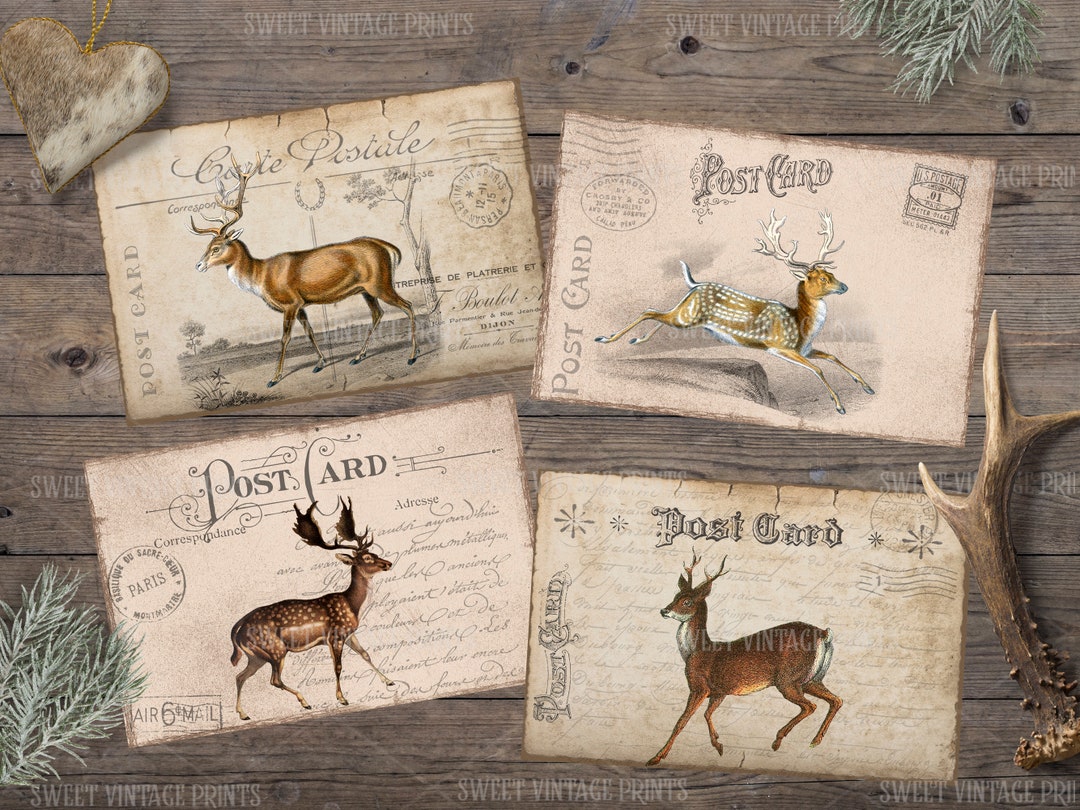Vintage Deer, Reindeer, Vintage Christmas Postcard, Christmas Junk ...