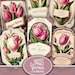 Vintage Pink Tulips Ephemera Tags Tulip Labels Tulip Junk - Etsy