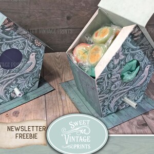 Birdhouse Box Printable Vintage Bird DIY Gift Box Birdhouse Digital ...
