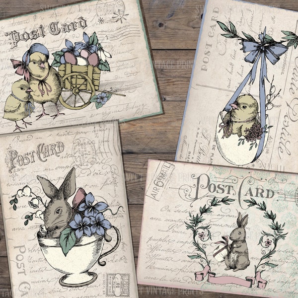 Rabbit Postcard - Etsy