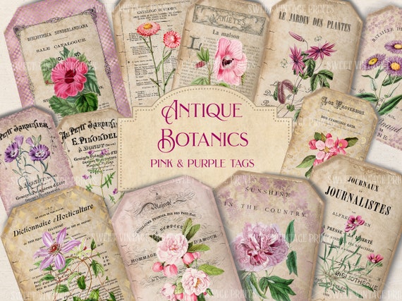 Antique Botanics Pink Purple Vintage Plants Labels Tag | Etsy