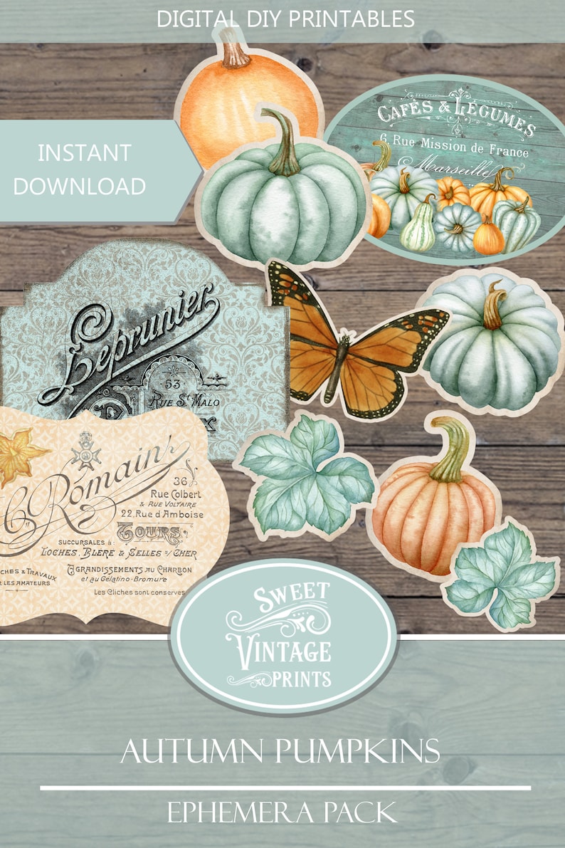 Autumn Pumpkins Ephemera Pack Autumn Junk Journal Pumpkin - Etsy