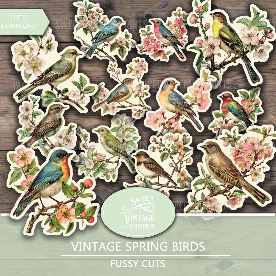 Vintage Spring Birds Fussy Cuts Mini Collection | Victorian Die-cut ...