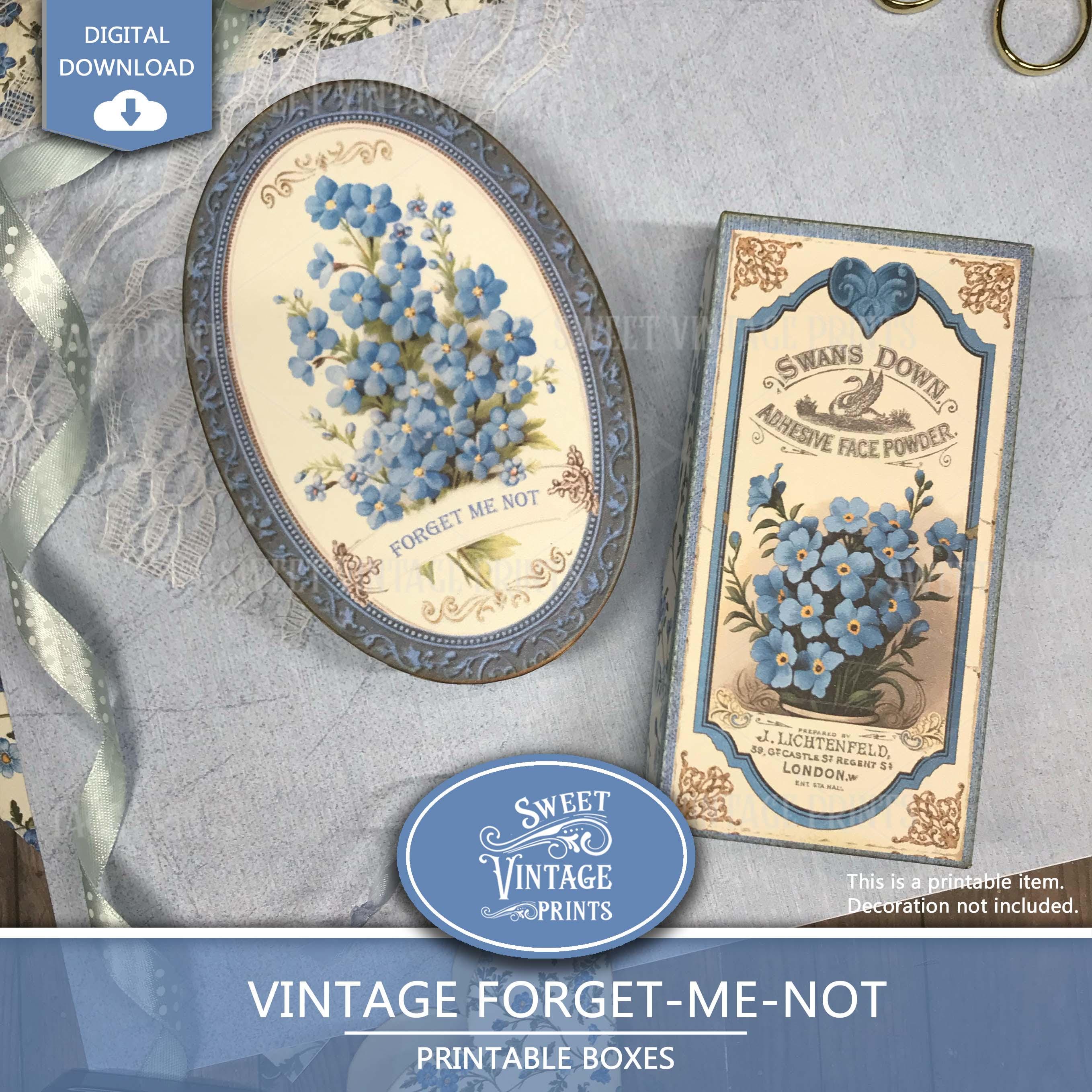 Printable Box Forget-me-not | DIY Gift Case Set | Vintage Flower ...