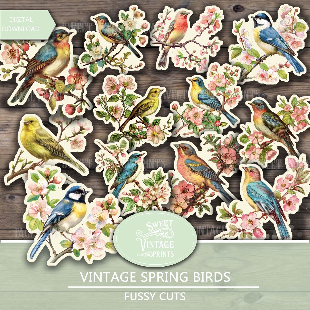 Vintage Spring Birds Fussy Cuts Mini Collection | Victorian Die-cut ...