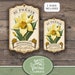 Printable Daffodil Ephemera Tags, Daffodil Labels, Easter Junk Journal ...