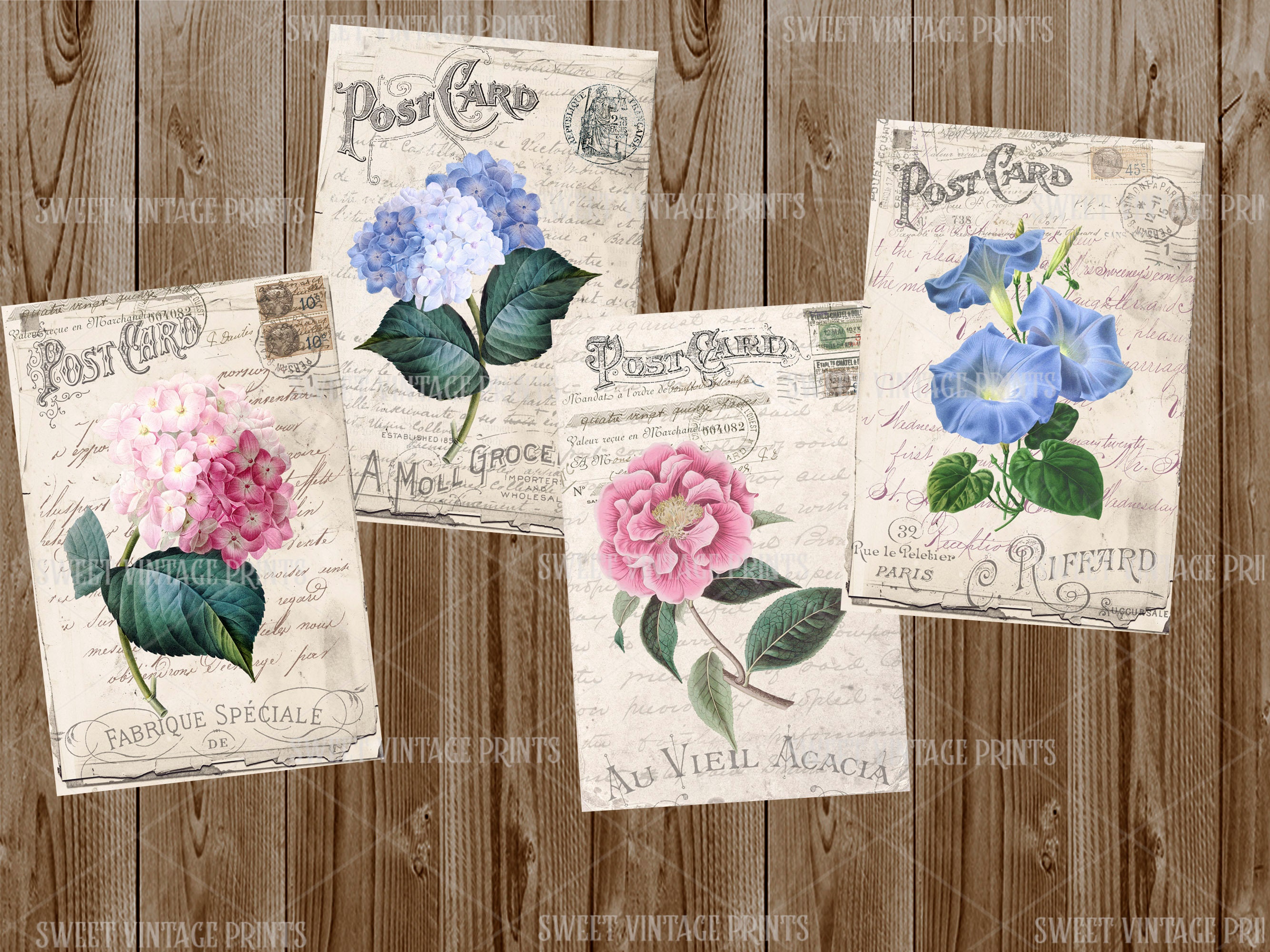 Vintage Flower Postcards Old-fashioned Flower Ephemera - Etsy