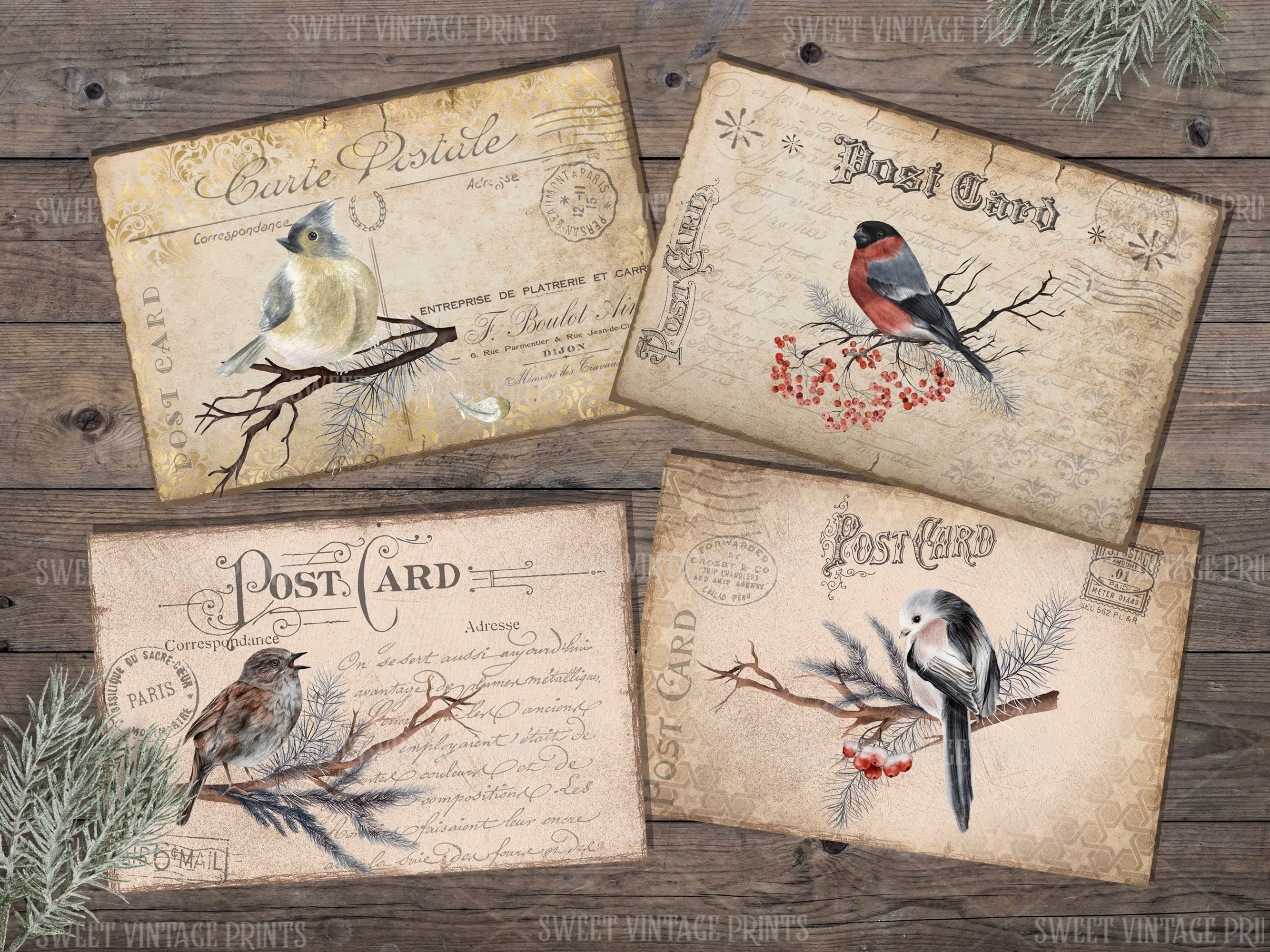 Winter Birds Postcards Vintage Christmas Postcard Christmas - Etsy