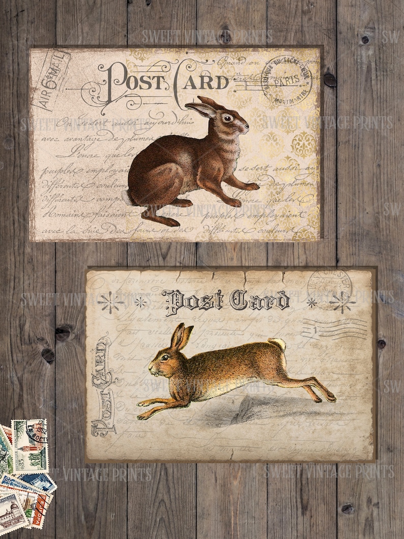 Rabbits Postcards, Vintage Bunny Postcard, Easter Junk Journal, Easter ...