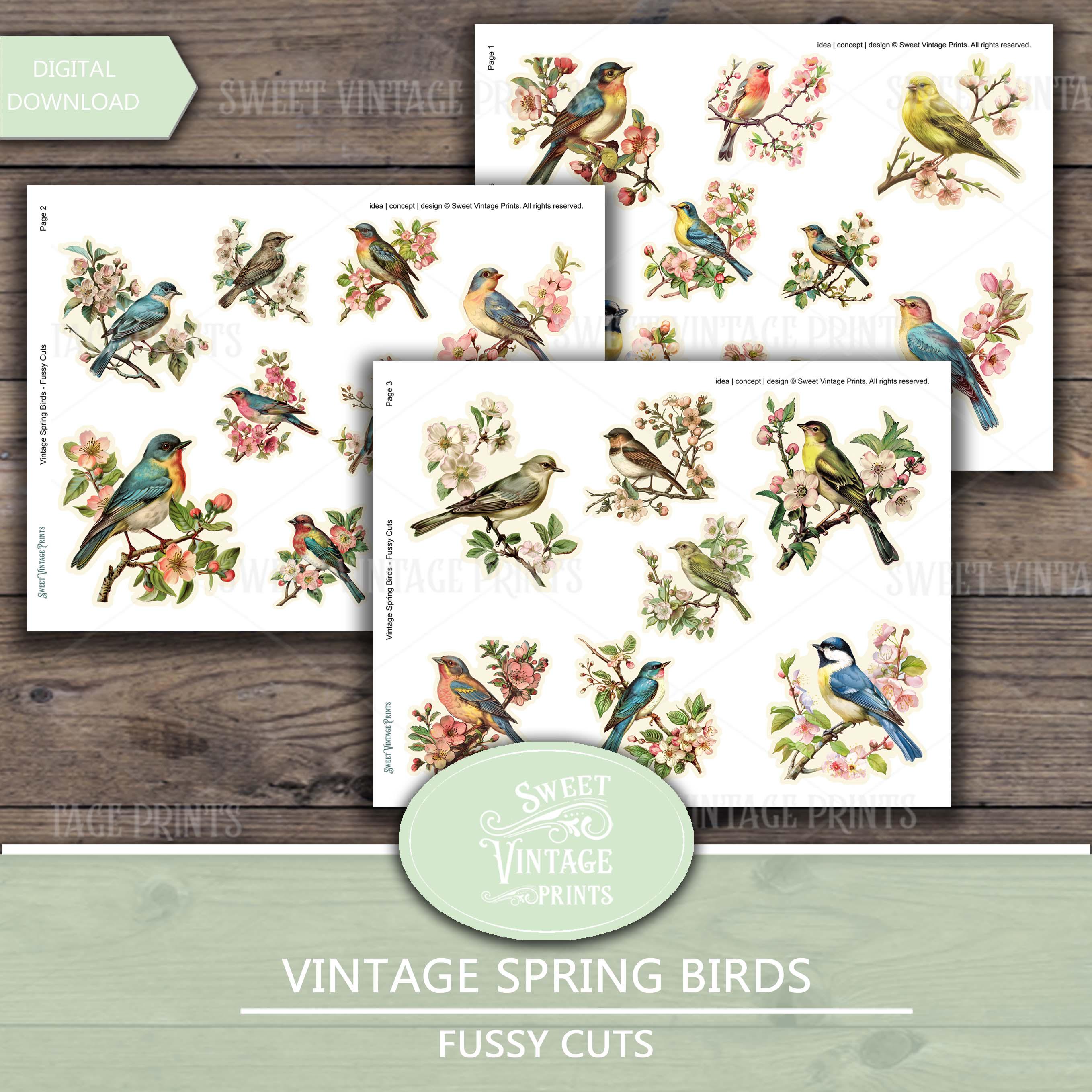 Vintage Spring Birds Fussy Cuts Mini Collection | Victorian Die-cut ...