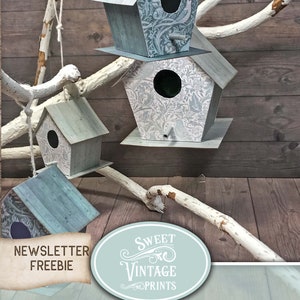 Birdhouse Box Printable Vintage Bird DIY Gift Box Birdhouse Digital ...