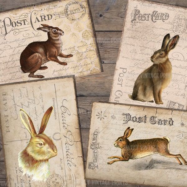 Rabbit Postcard - Etsy