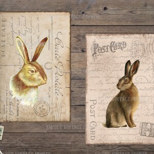 Rabbits Postcards, Vintage Bunny Postcard, Easter Junk Journal, Easter ...