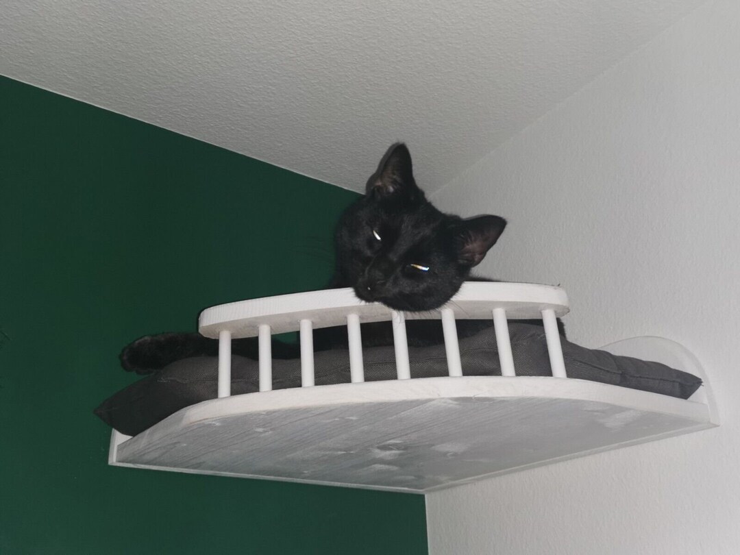Corner Bed for Cats Made of Solid Spruce Wood Including Cushion, for ...