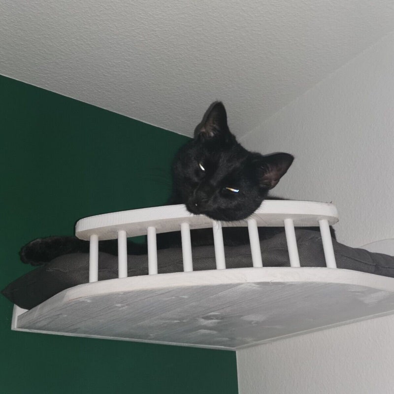 Cat Walk Furniture - Etsy