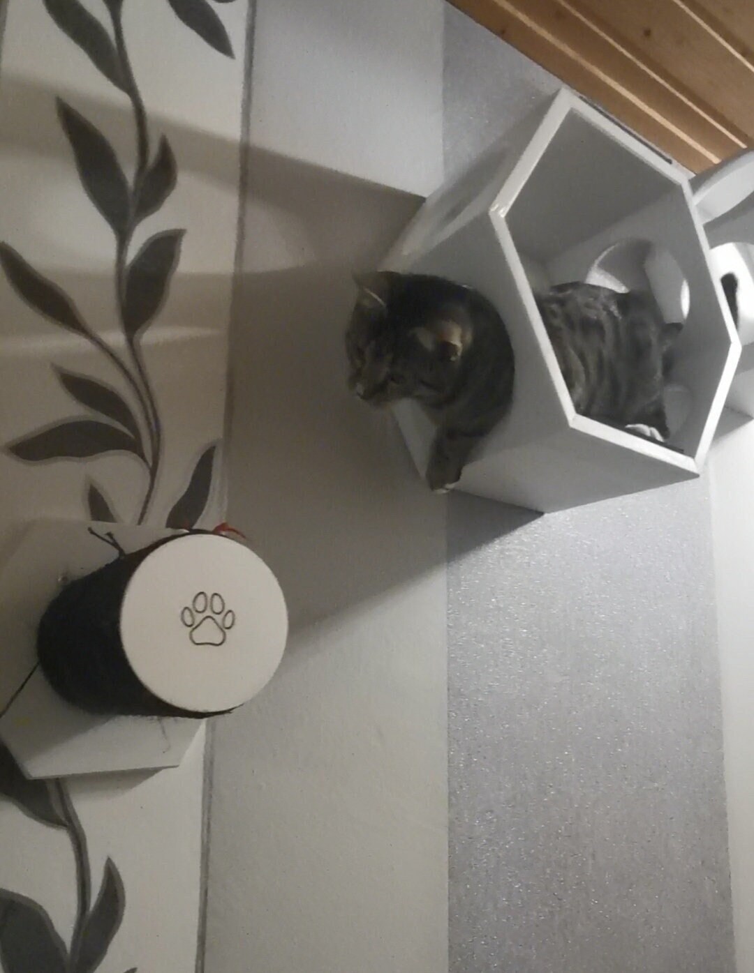 Hexagon Made of Solid Spruce Wood, Catwalk, Cat Climbing Course, Cat ...