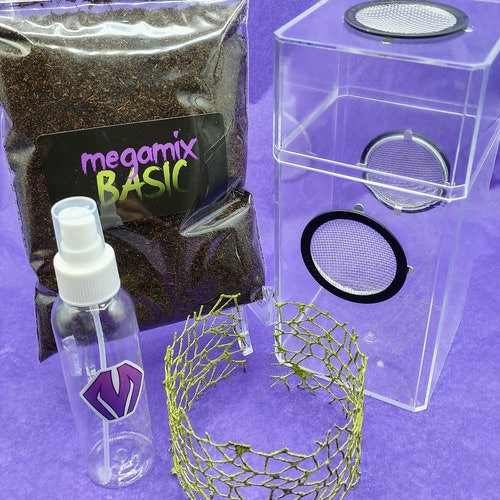 Praying Mantis Pet Tarantula Climbing Moss Ribbon | Etsy