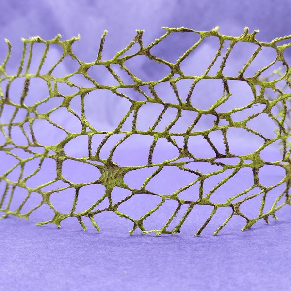 Spider Ribbon - Etsy