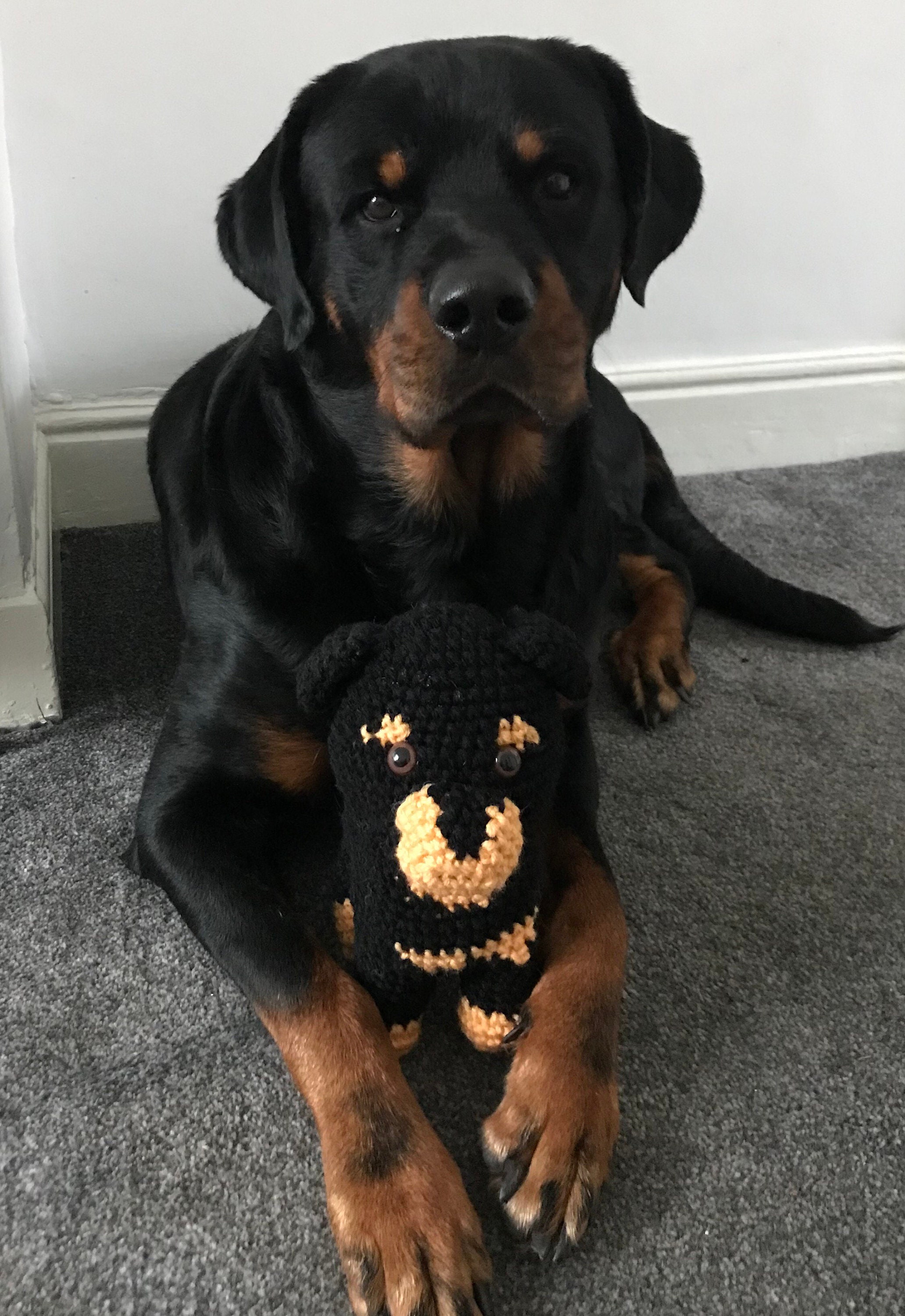 Roscoe the Rottie Handmade Rottweiler Teddy - Etsy