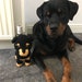 Roscoe the Rottie Handmade Rottweiler Teddy - Etsy