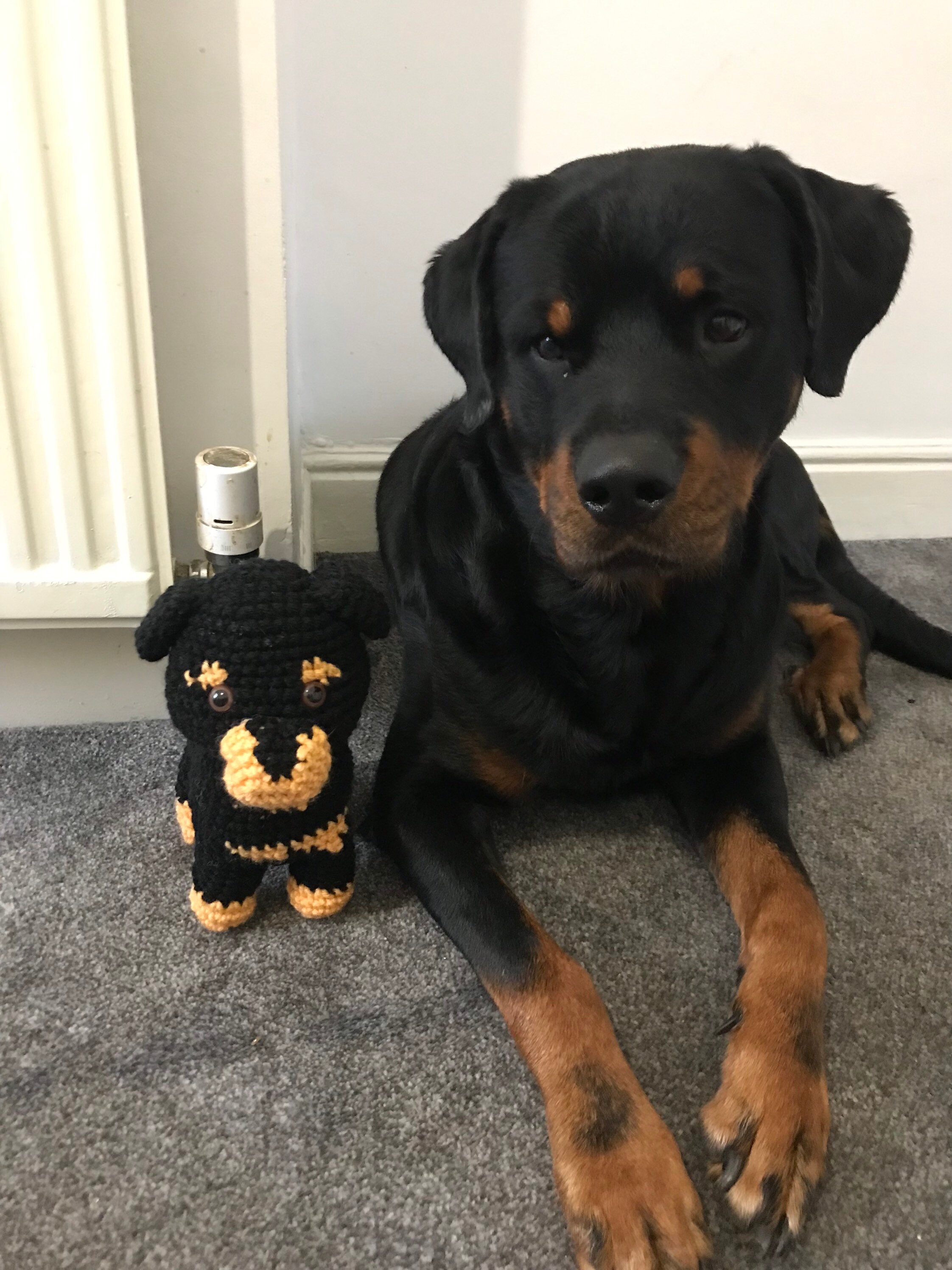 Roscoe the Rottie Handmade Rottweiler Teddy - Etsy