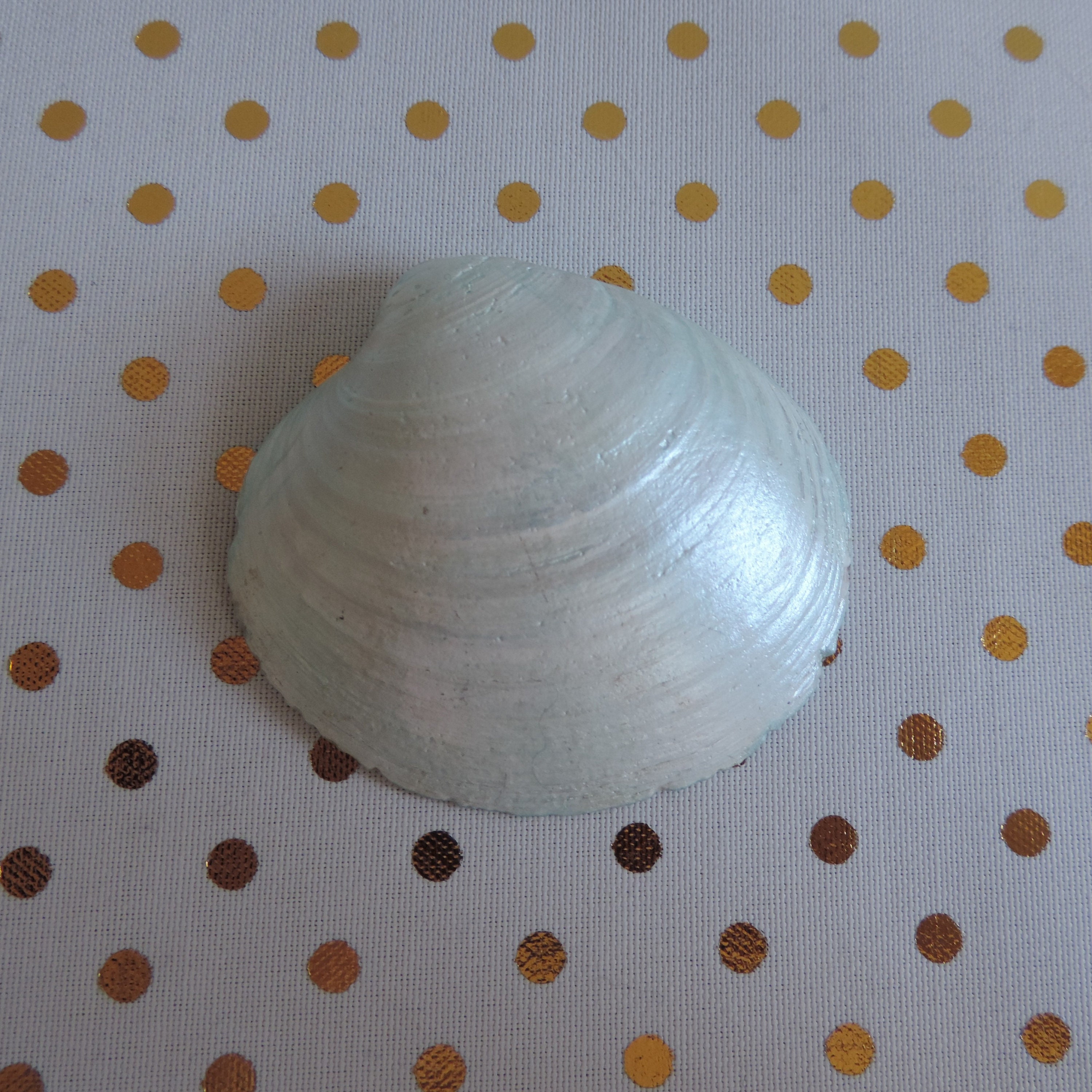 Blue Tang Shell Dory Finding Dory Fish Tropical Fish - Etsy