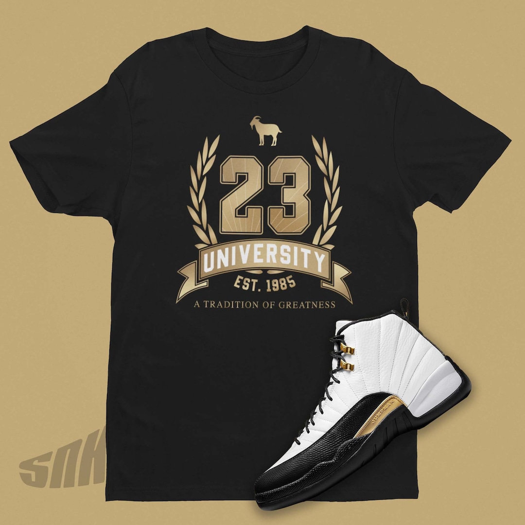 AIR Jordan 12 ROYALTY Match Shirt, 23 UNIVERSITY Tee, Retro 12 Shirt ...