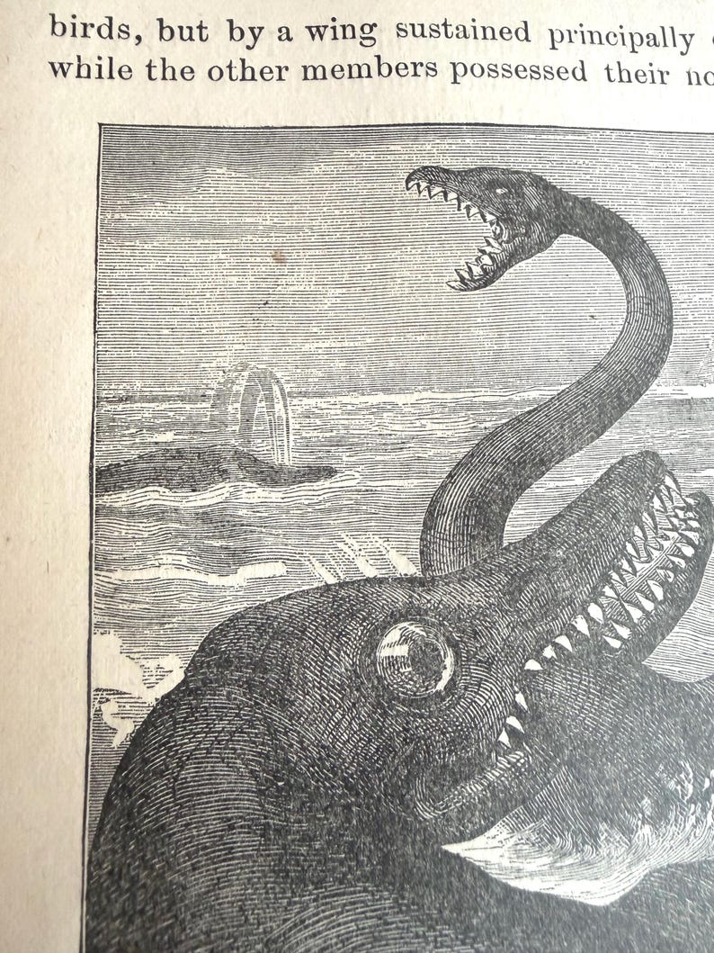 Antique 1887 Ichthyosaurus & Plesiosaurus Print – Sea Monster Engraving ...