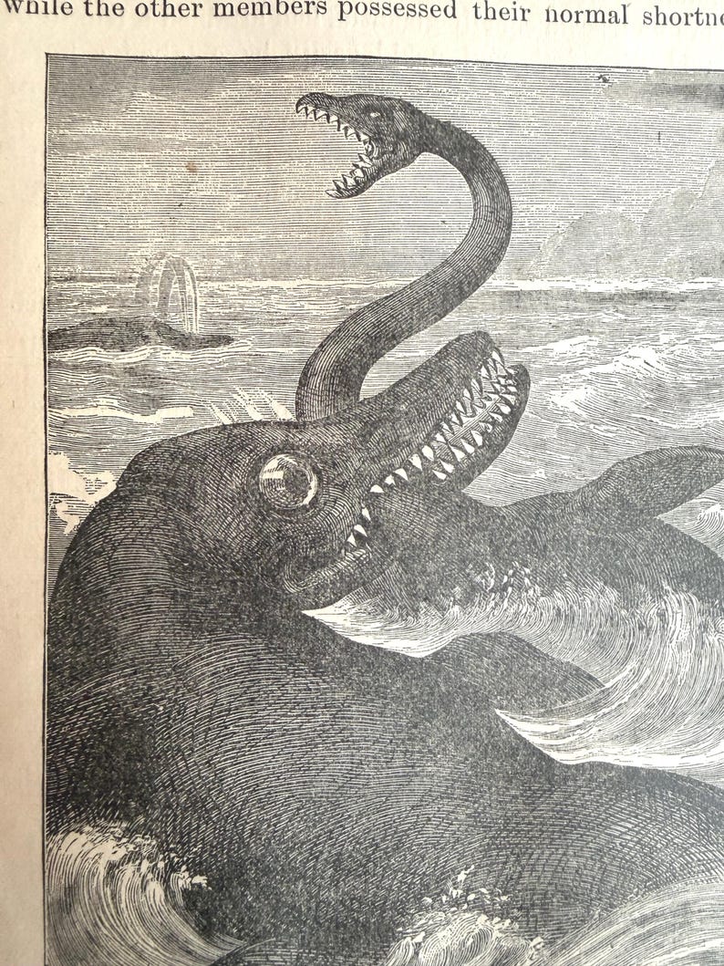 Antique 1887 Ichthyosaurus & Plesiosaurus Print – Sea Monster Engraving ...