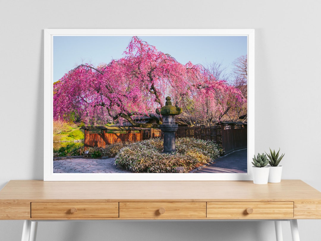 Japanese Pink Cherry Blossom Print, Sakura Flowers, Spring Nature Print ...