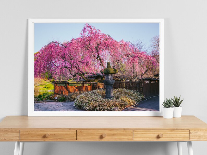 Japanese Pink Cherry Blossom Print, Sakura Flowers, Spring Nature Print ...