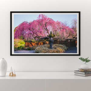 Japanese Pink Cherry Blossom Print, Sakura Flowers, Spring Nature Print ...