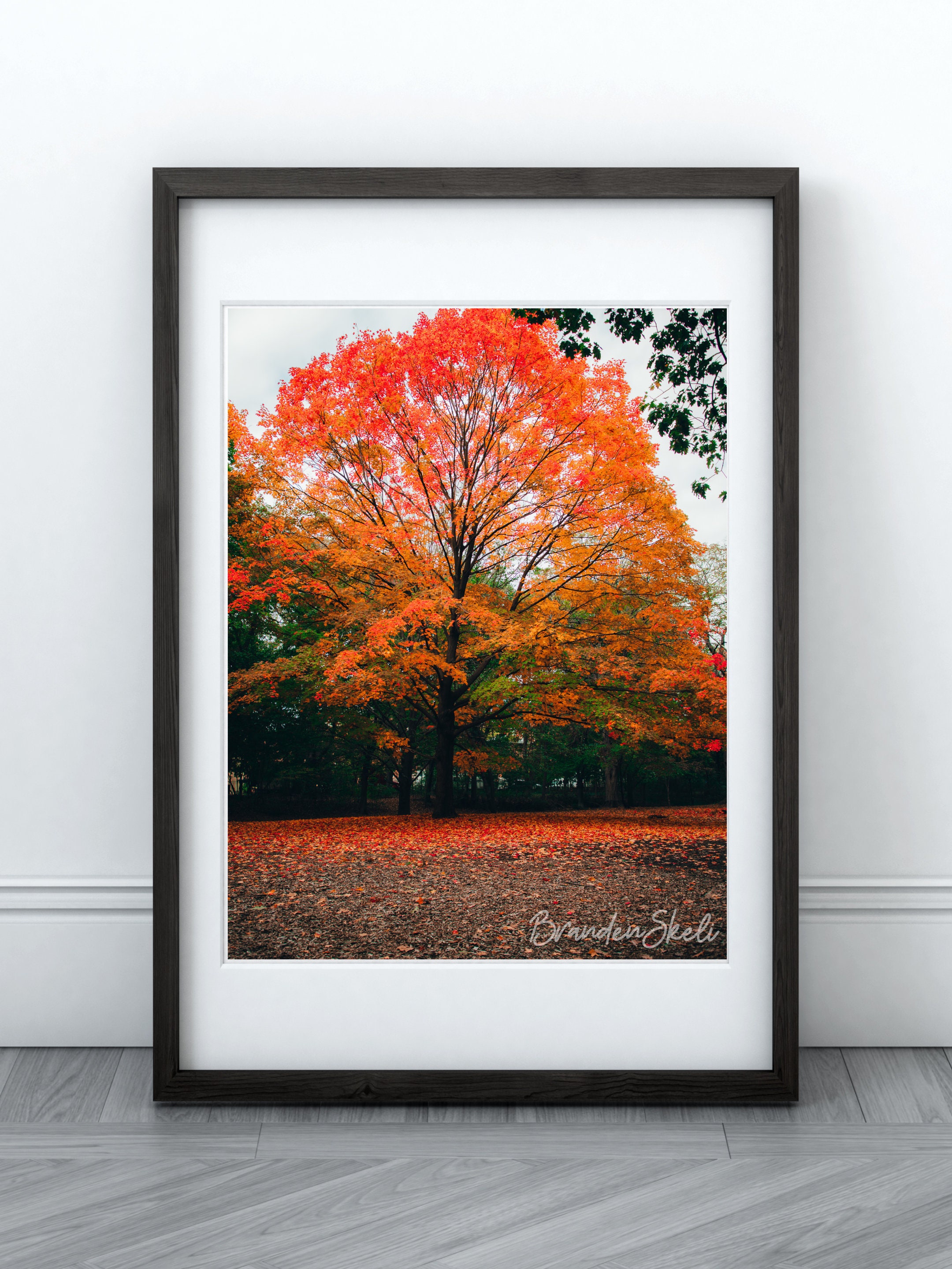 Autumn Tree Print, Fall Foliage Art, Colorful Leaves Wall Decor - Etsy