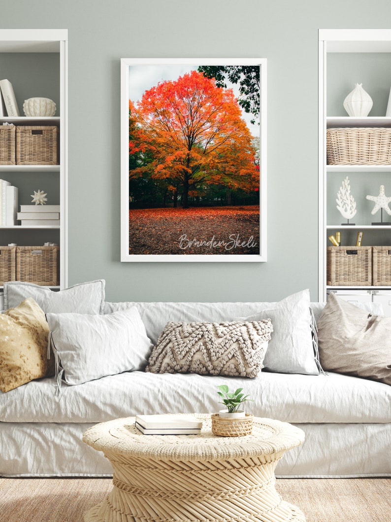 Autumn Tree Print, Fall Foliage Art, Colorful Leaves Wall Decor - Etsy