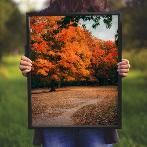 Autumn Path Print, Colorful Fall Foliage Wall Art, Nature Photography ...