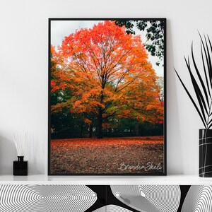 Autumn Tree Print, Fall Foliage Art, Colorful Leaves Wall Decor - Etsy