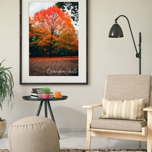 Autumn Tree Print, Fall Foliage Art, Colorful Leaves Wall Decor - Etsy