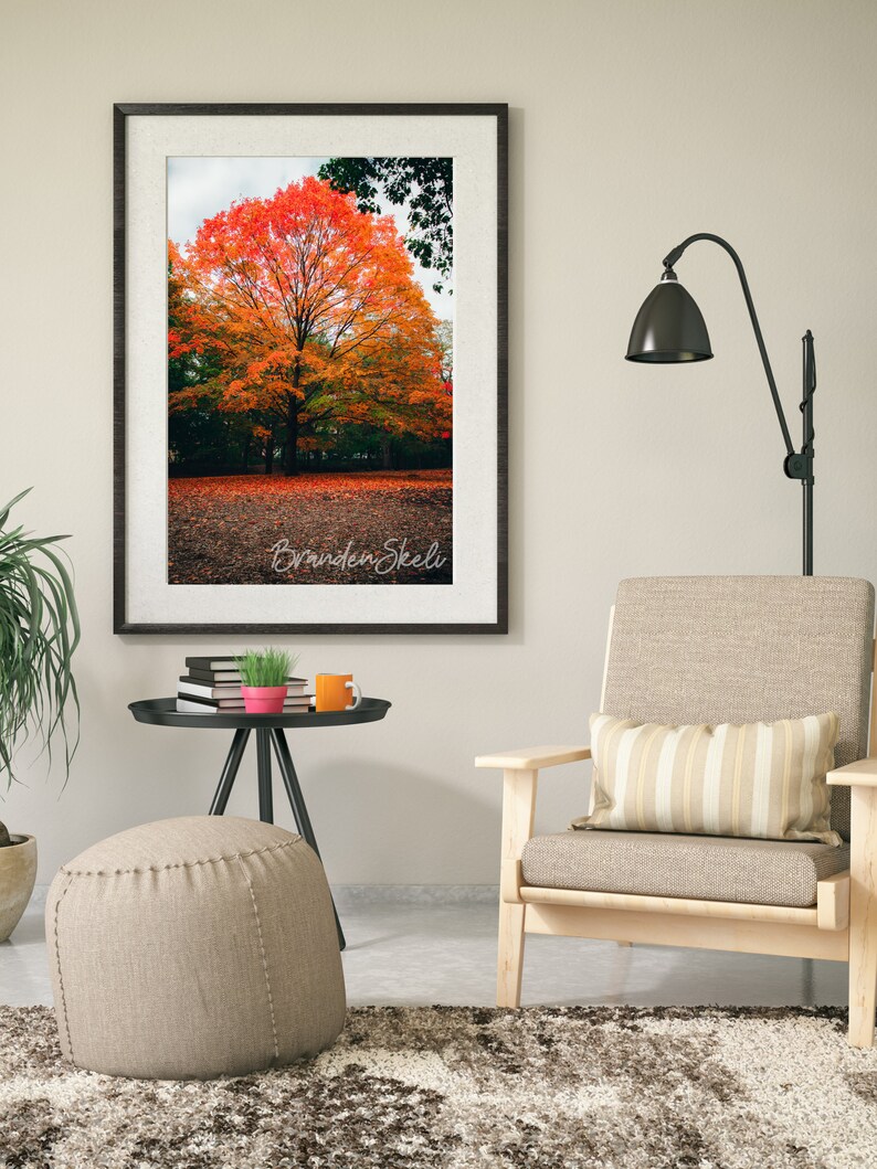 Autumn Tree Print, Fall Foliage Art, Colorful Leaves Wall Decor - Etsy