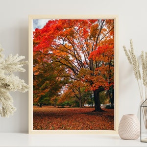 Fall Color Tree Wall Art, Red Maple Leaves , Autumn Forest Wall Art ...