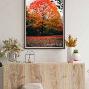Autumn Tree Print, Fall Foliage Art, Colorful Leaves Wall Decor - Etsy
